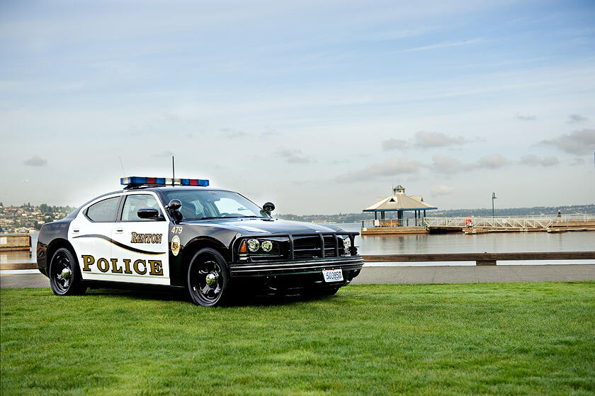 Another reminder - lock up your vehicle, remove temptation from view ...